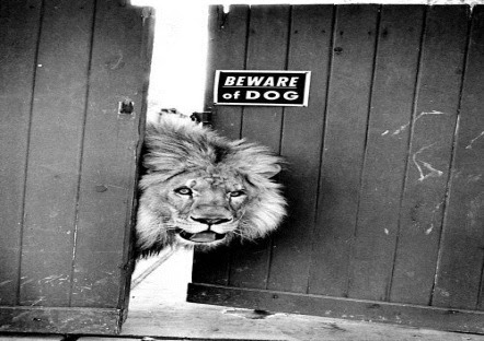 It's good to mock: Beware of the sign