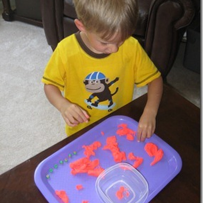 Fumbling Through Homeschooling: What’s On The Tot Trays?- Post 10