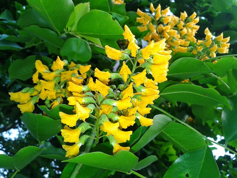 Along the Way: March 2015