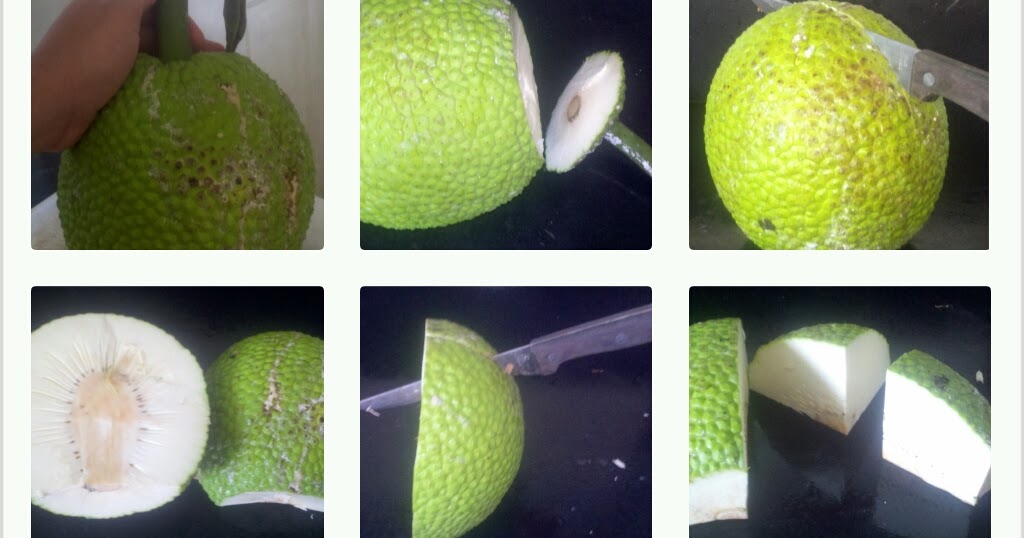 Hola Lola Mia: Tostones de panapén en 8 pasos (pana, breadfruit)