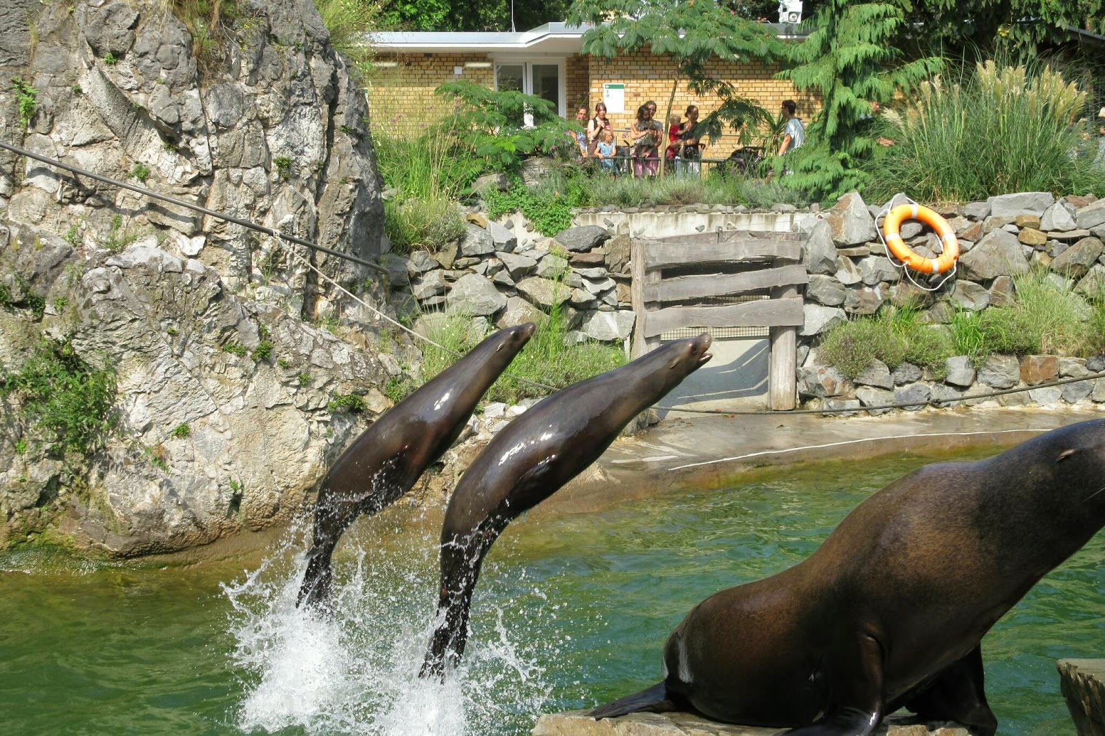And Awaaay We Goooo: Cologne Zoo