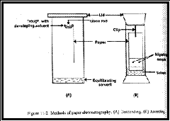 What is Paper Chromatography? Principle and Procedure