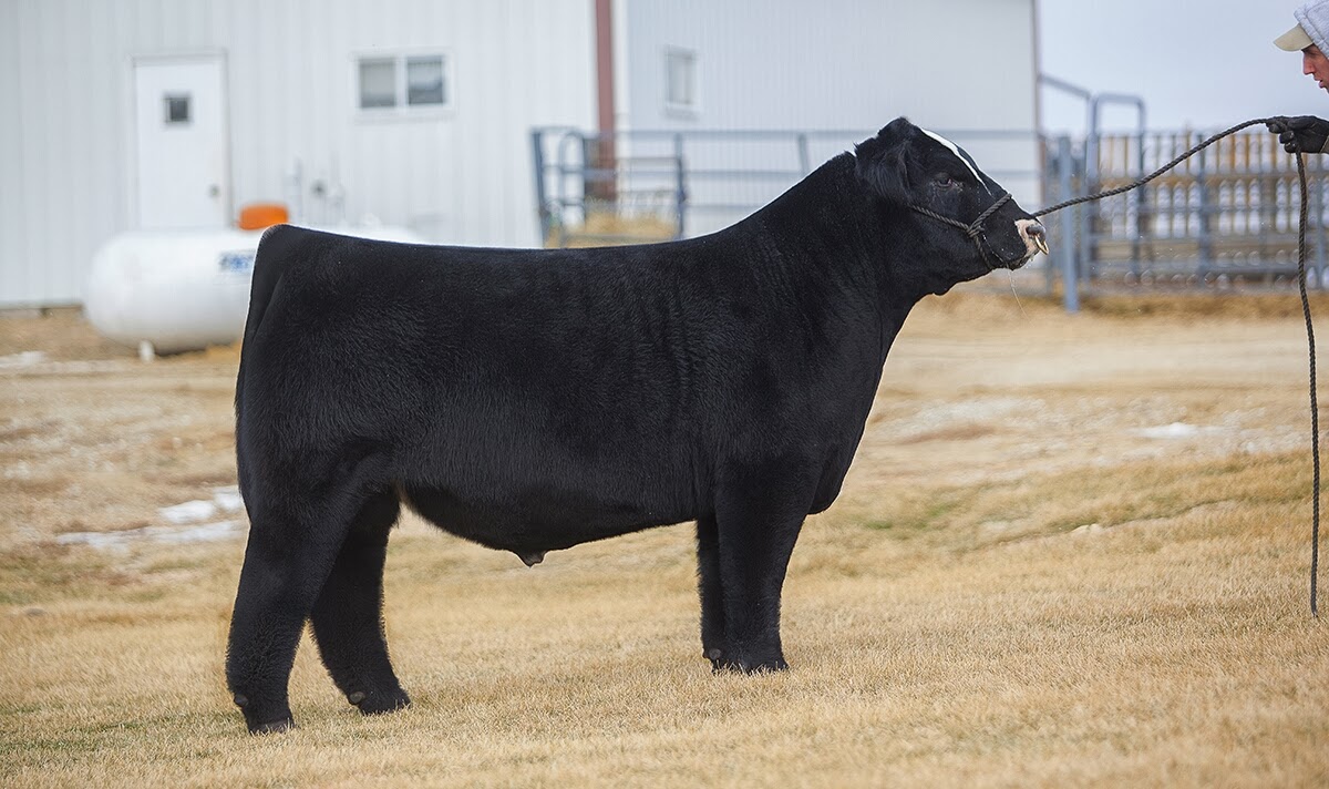 RCC Blog: Introducing The Outsider