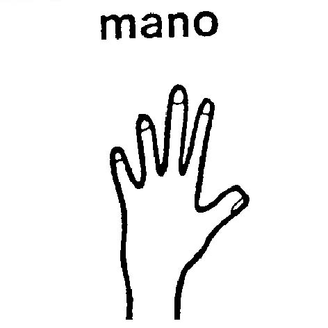 Imágenes de partes del cuerpo humano