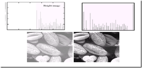 Some Basic Gray Level Transformations and Histogram Processing.