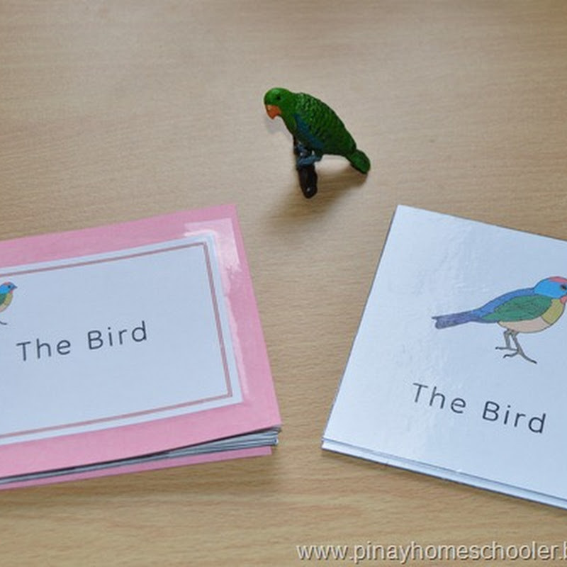 Bird Study Part I | The Pinay Homeschooler