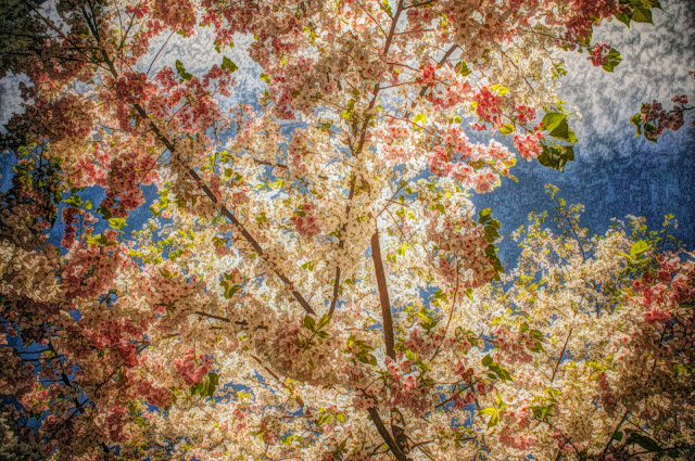 28 edited random free online picture downloadable for commercial use