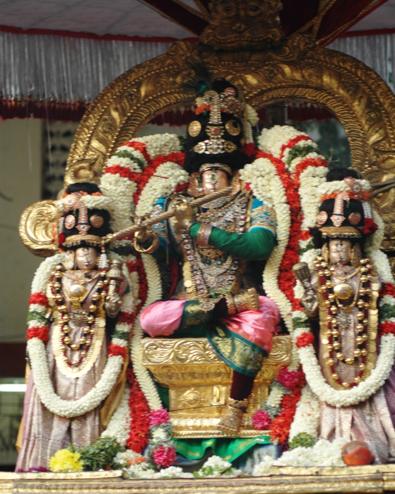 Parthasarathy: Sri narasimar dhavanam utsavam day 3