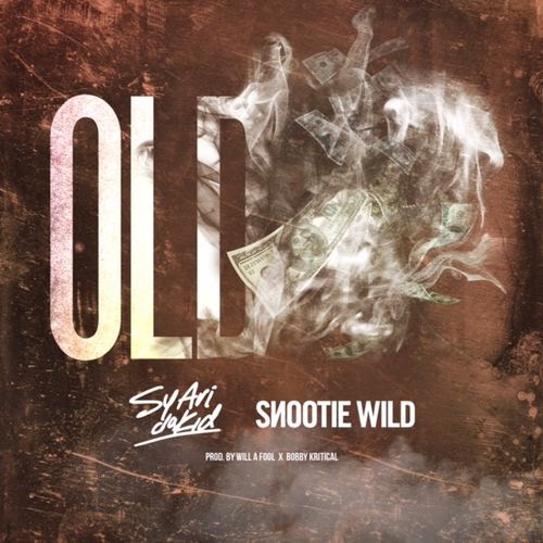 We Want In HipHop Blog: Snootie Wild
