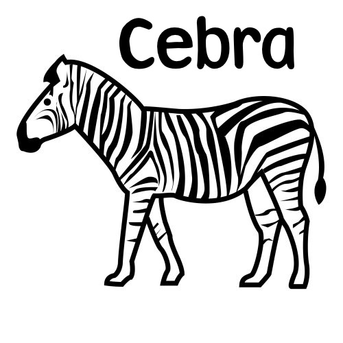 COLOREAR DIBUJOS DE CEBRAS