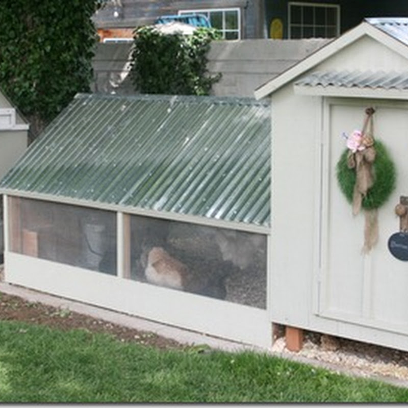 Chicken Coop Crazy - Have a Daily Cup of Mrs. Olson