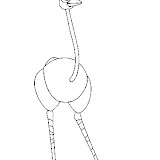 OSTRICH COLORING PAGES OSTRICH TO COLOR