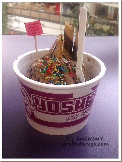 Yoshi's Teppanyaki Ice Cream - jE's AnAtOmY