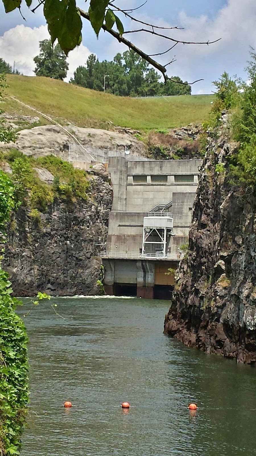 Tales From The Wood Booger: Quick Blog @ Buford Dam