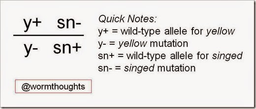 Rose-Anne Meissner, PhD: LESSON: Mitotic Recombination: Twin Spots