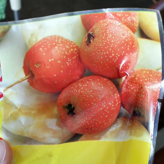 One World Homeschool: Chinese Hawthorn Candy (Haw Flakes)