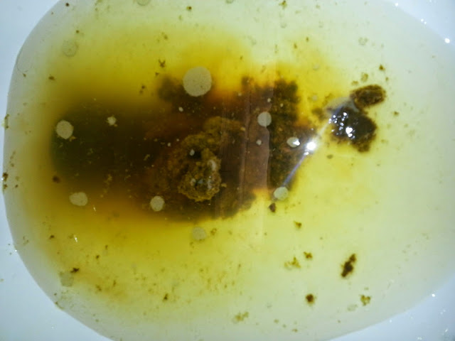 My Daily Poo: 26 June: 2 poo Thursday running poo.