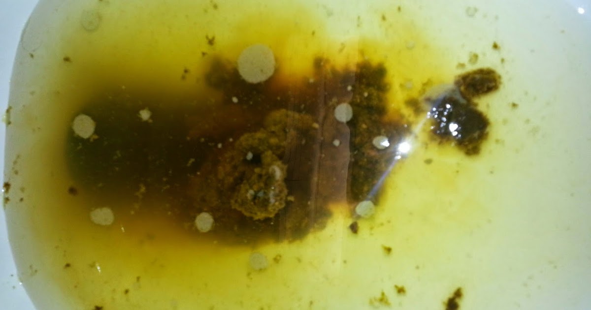 My Daily Poo: 26 June: 2 poo Thursday running poo.