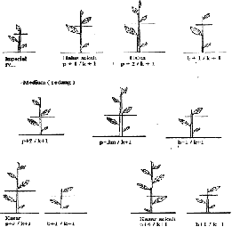diary yuphy: Pemetikan pucuk daun teh