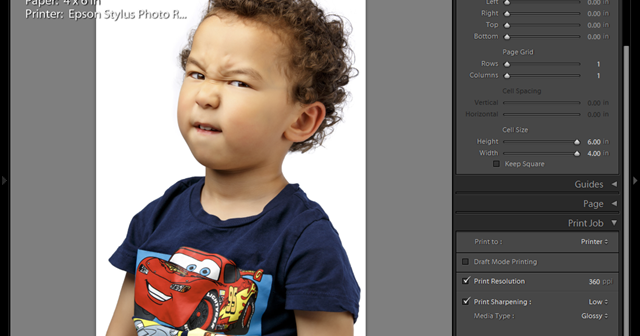 Ron Martinsen's Photography Blog: Getting Great 4x6 Prints Without Any ...