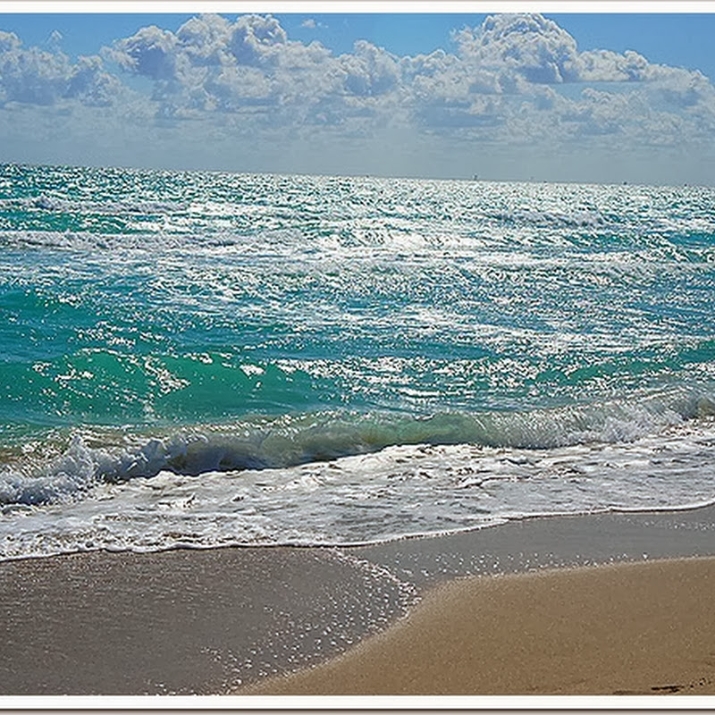 8 public domain pictures beaches - 1 million free pictures