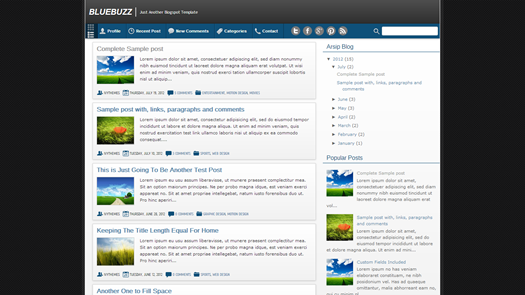 BlueBuzz: Bugüne Kadar Paylaştığım En İyi Tema | Blog Hocam - Daha İyi ...