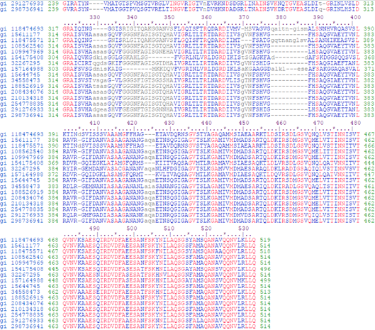 Discussions: Specified Complexity