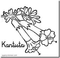 Bolivia, Escudo, bandera y flor Nacional kantuta para colorear ...