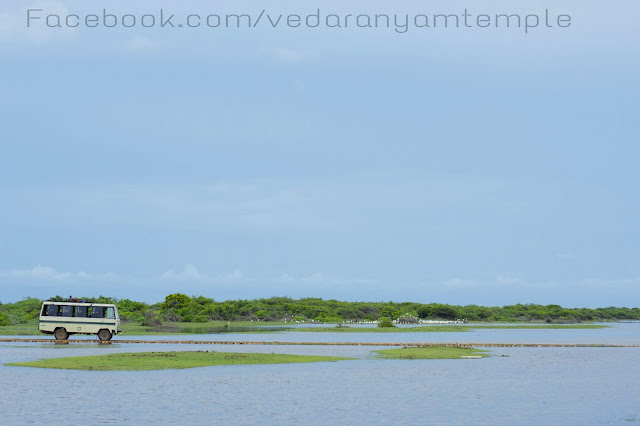 vedaranyam temple: Vedaranyam birds sanctuary and nature.