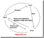 Siklus Sulfur adalah | Daur Belerang dalam Biogeokimia | Kamus Q