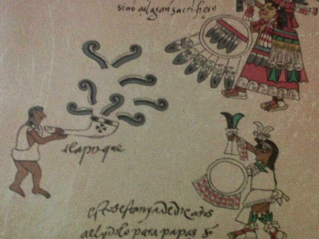 Historia de México: Codice Fiorentino