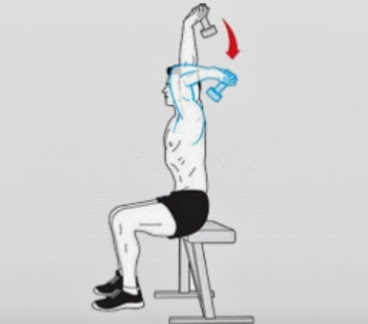 GYMTRIM: TRICEPS WORKOUT IN HOME