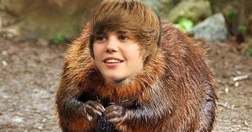 RandaReno: Justin Beaver