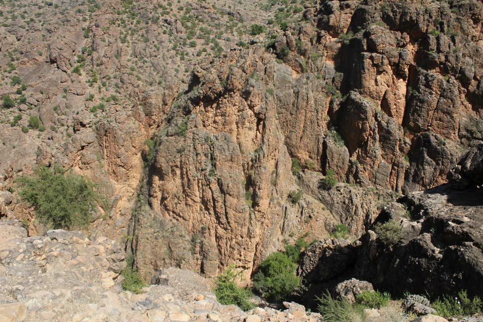 PALMERAIE /TARGUA NTOUCHKA: LKSSET - LE SOMMET