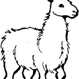 DIBUJOS DE LLAMAS PARA COLOREAR