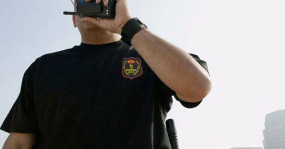 VIP, Executive Security & Bodyguards | Risk Management Group Security ...