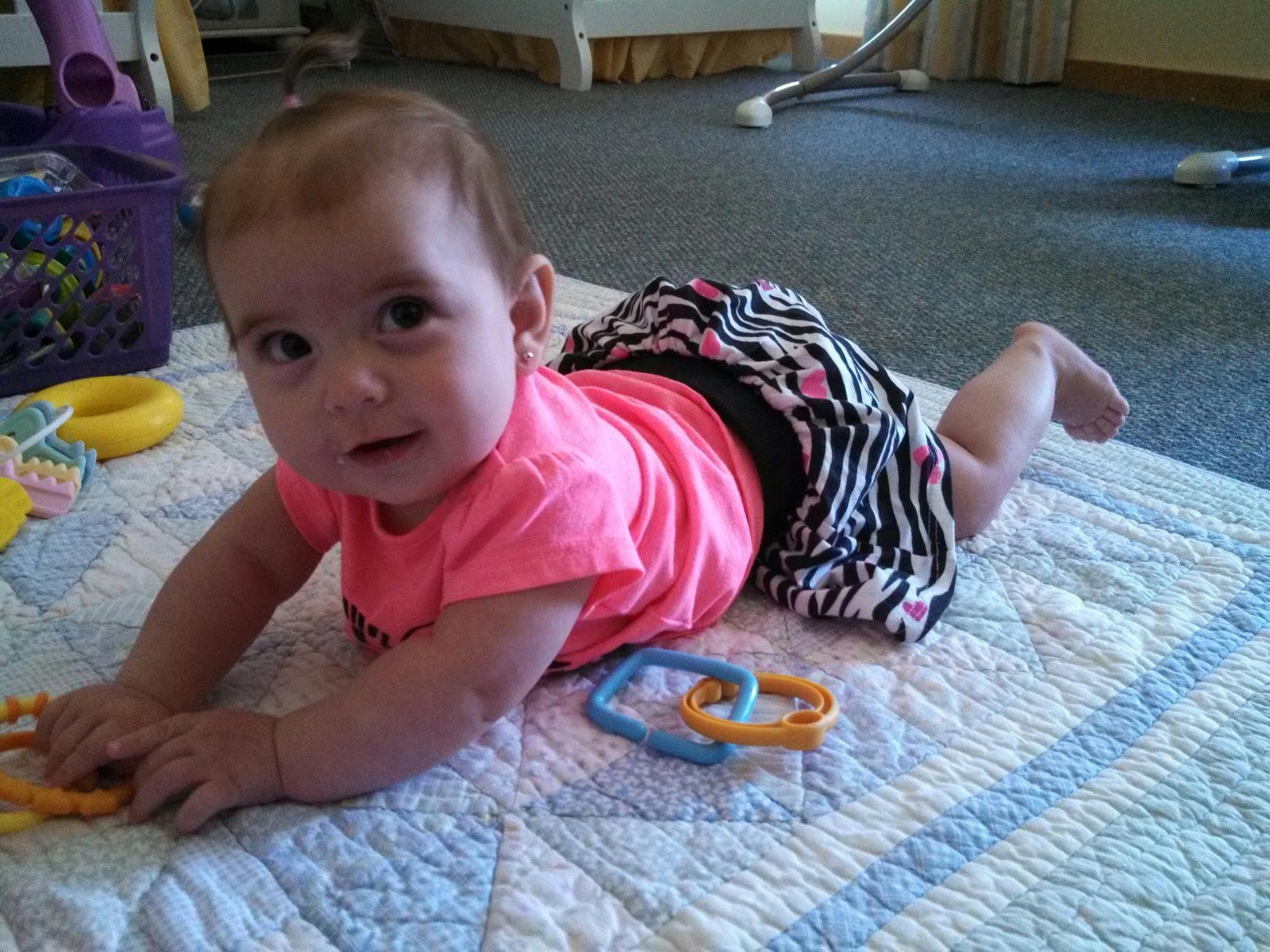 Froggied Princess: Our life with a Wheaton-Pavlik Harness: Relearning ...