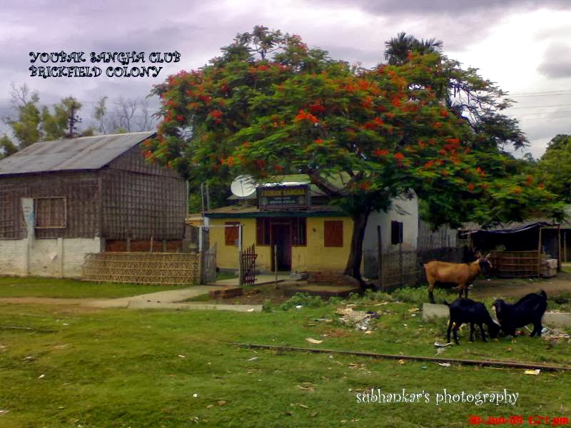 PHOTOGRAPHS: LUMDING AND BRICKFIELD COLONY