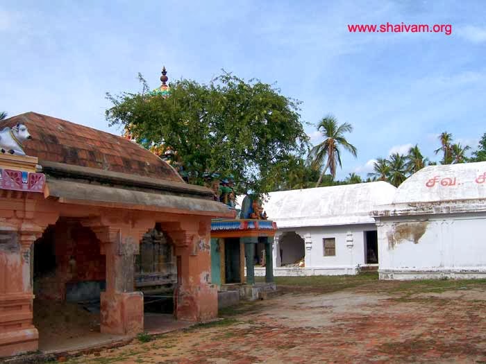 thiruvarur city: Kottur siva temple