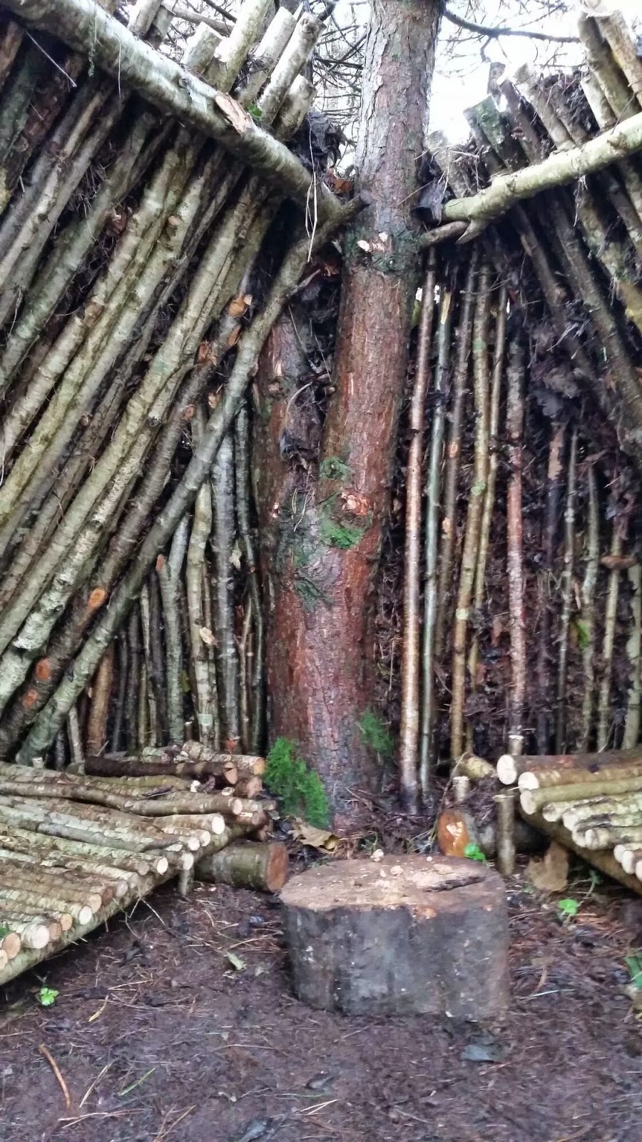 Belfast Bushcraft Blog: Two person lean - to shelter