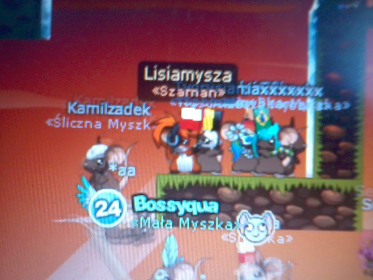 TFM- TRANSFORMICE: Flagi!