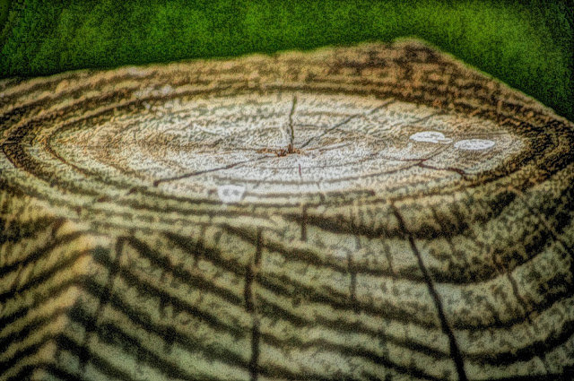 36 random free pictures available for download