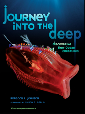 Tips & Techniques: Really nice DPS example