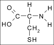 Aminoácidos (aa) | Biomedicina Padrão