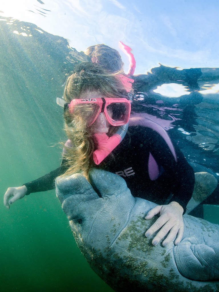 Ernst Koschier Diving Pictures - Gallery - Crystal River Manatees