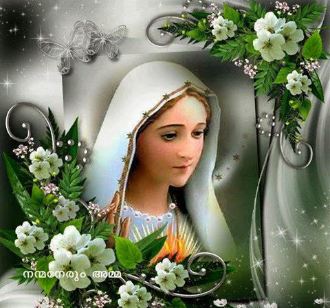 velankanni matha kollam: Mary matha photos