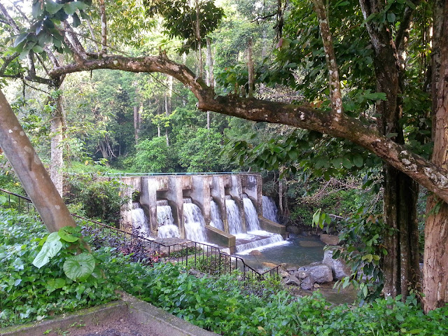 LagunaMerbok: Tupah Semakin Sepi.
