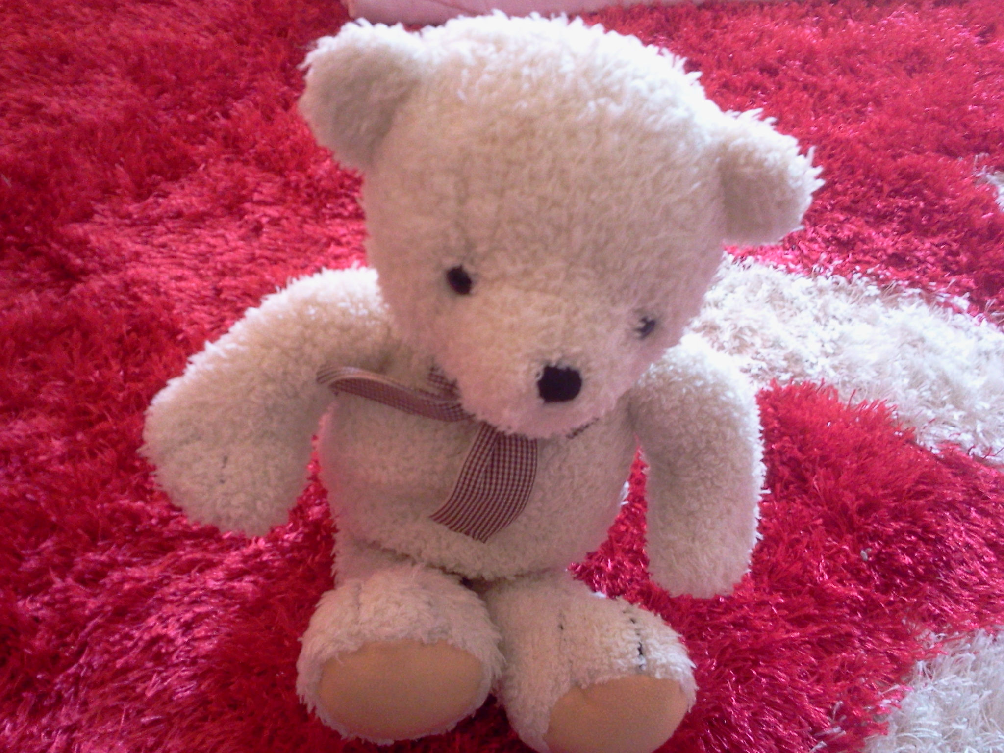 Aisya Amani 1Y 9M 25D – Mr. BearBear | DiaryVitamin .com