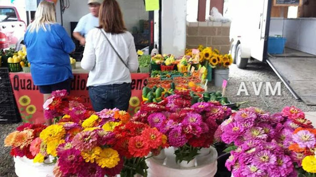The Art of Victoria Morgan: ASU REGIONAL FARMERS MARKET