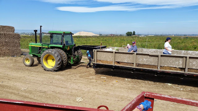 Explore Colorado: Miller Farms ~ Pick Your Own Vegetables